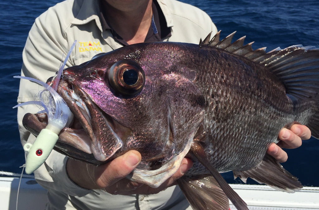 3oz Spire Point Premium Leadhead Jig - Big Johns Jigs – Big John's Jigs